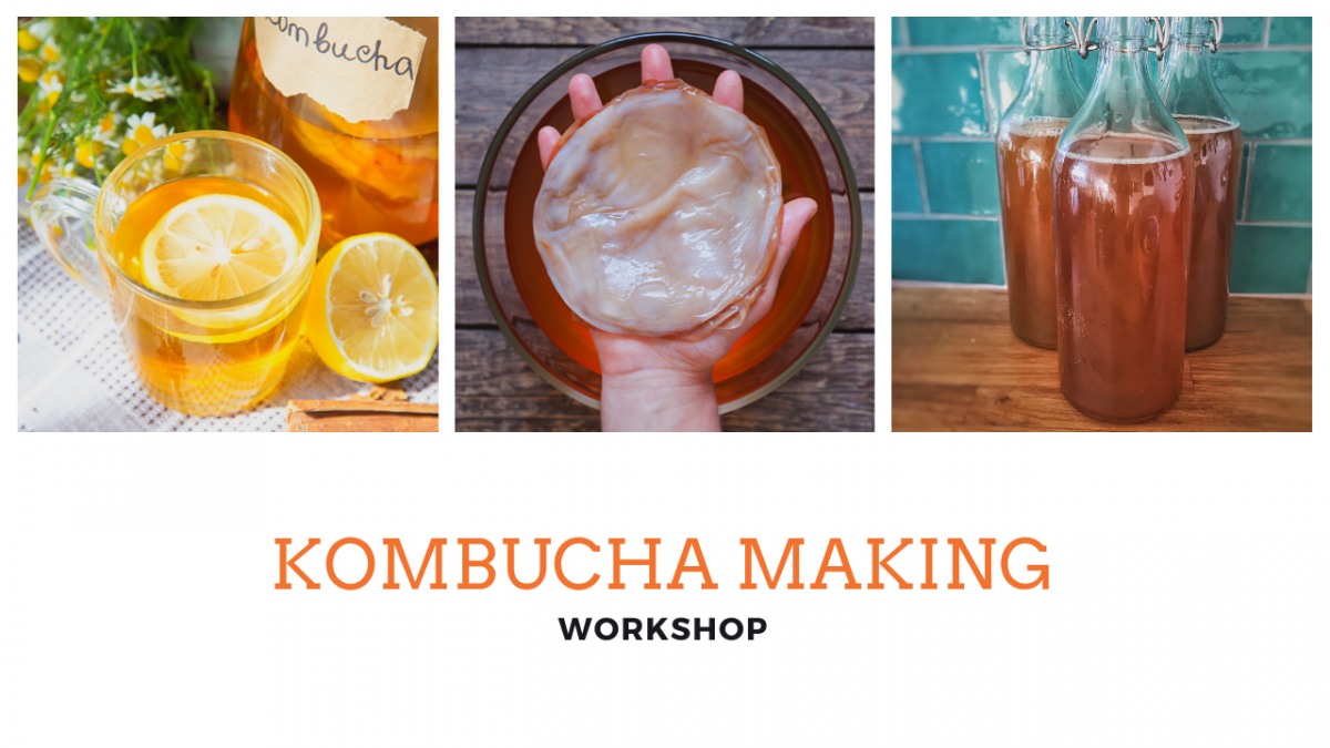 Virtual Kombucha Making Workshop | Hosted by PartyMojo Singapore
