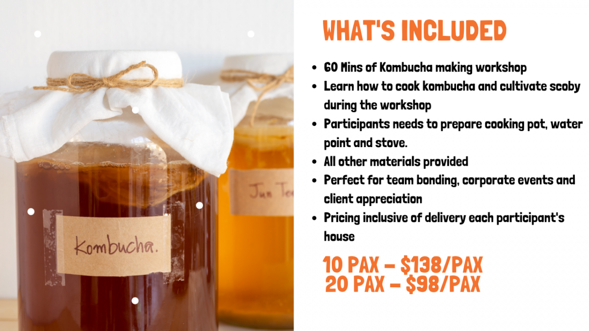 Virtual Kombucha Making Workshop | Hosted by PartyMojo Singapore