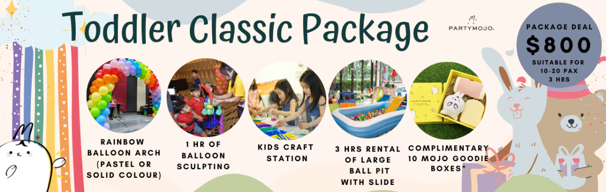 Toddler Birthday Party Package | With Decoration and Play Area