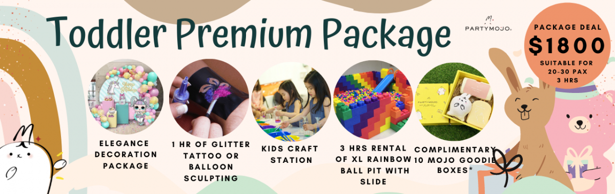 Toddler Birthday Party Package | With Decoration and Play Area