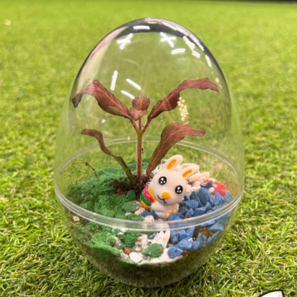 Egg Terrarium Making Workshop | Hosted by PartyMojo